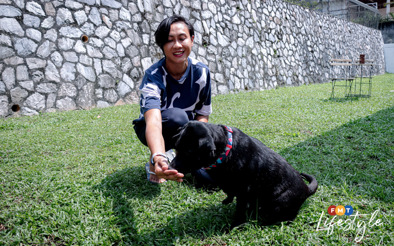 Shima gives desperate animals a new lease on life | FMT