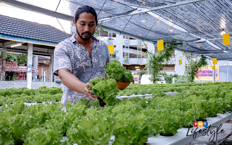Sustainable urban farm ensures nothing goes to waste | FMT