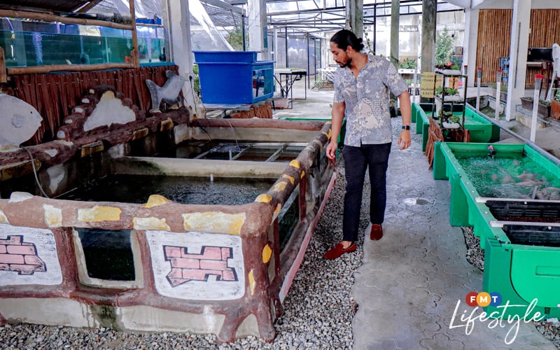 Sustainable urban farm ensures nothing goes to waste | Free Malaysia ...