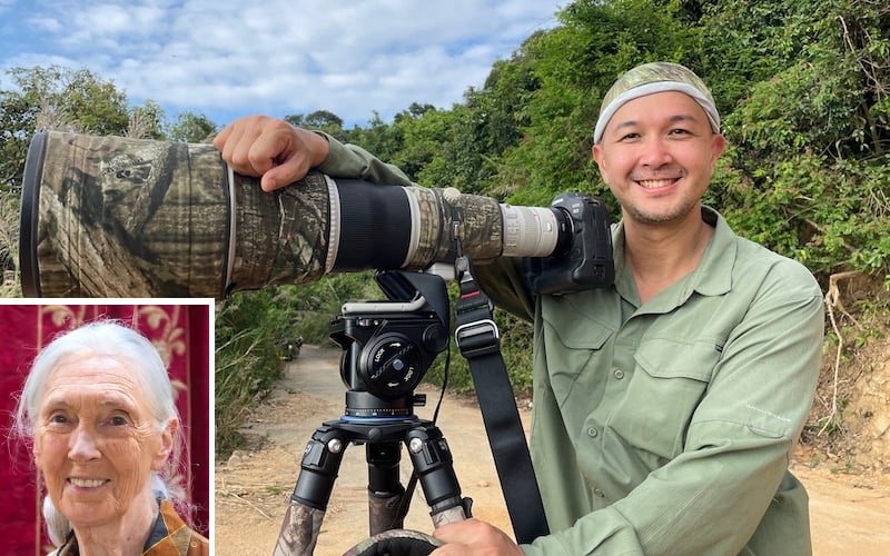 Peter Ong’s ‘Primus’ captures the soul of Malaysia’s primates | FMT