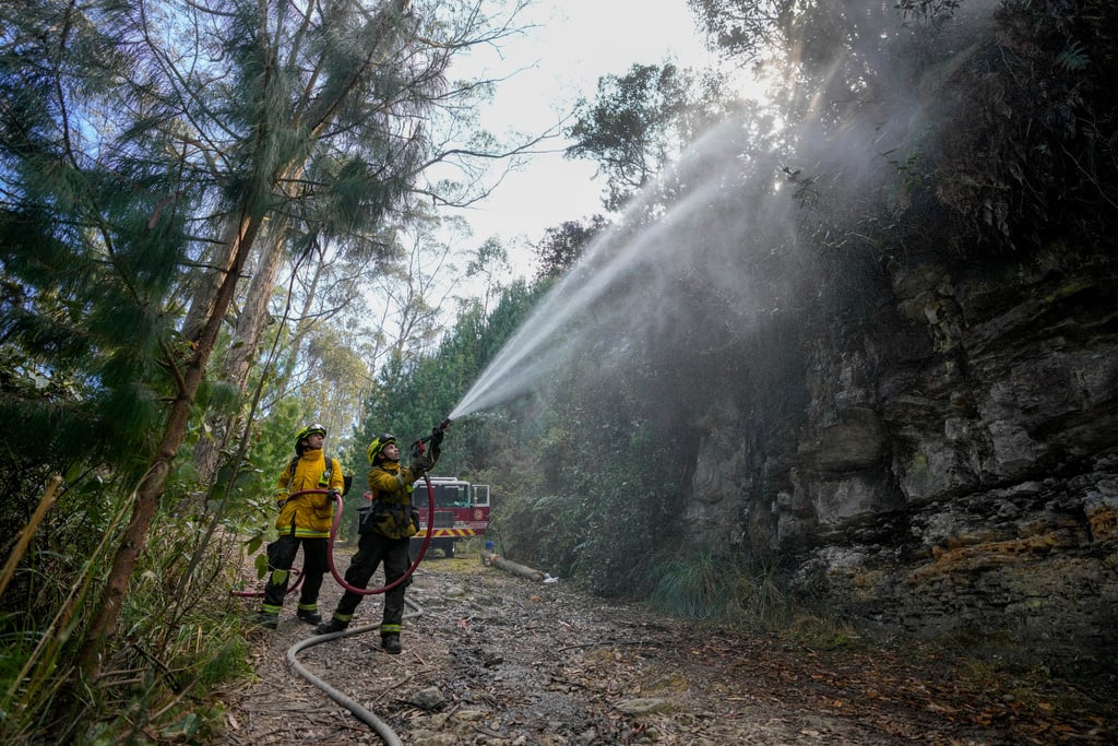 More than 17,000 hectares destroyed in Colombia’s forest fires | FMT