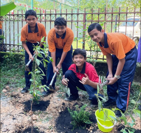 Please help save the planet by planting a ‘Free Tree’ | FMT