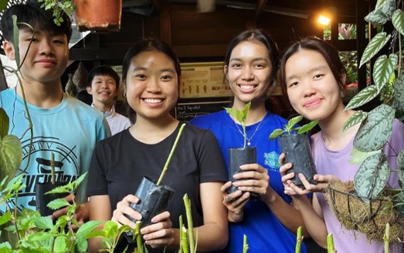 Please help save the planet by planting a ‘Free Tree’ | FMT