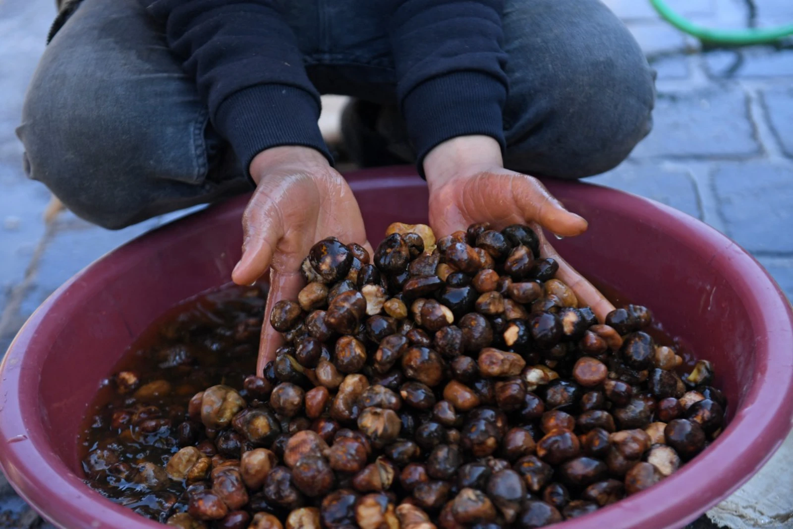 At least 19 truffle hunters killed in Syrian landmine blast | FMT