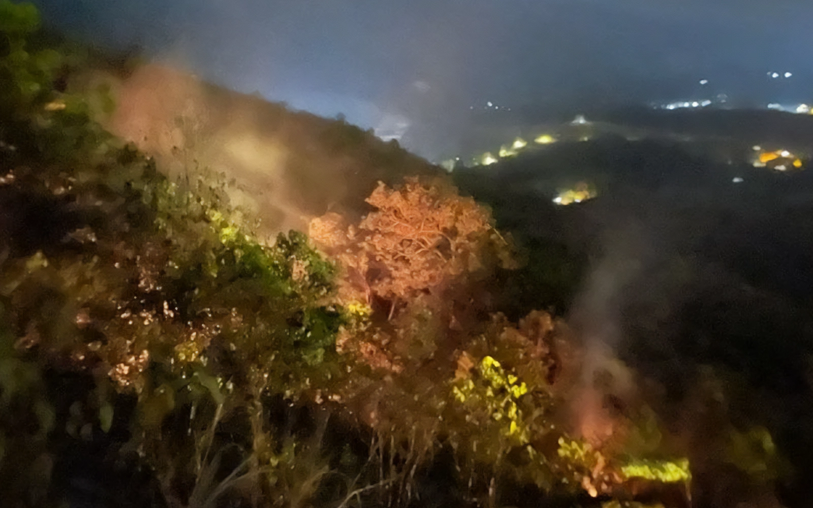 Fire at Bukit Broga’s peak destroys 0.8ha of forest | FMT