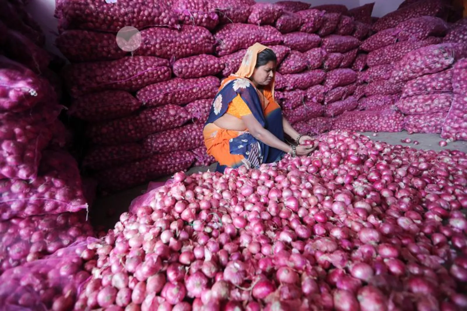 India extends ban on onion exports indefinitely | FMT