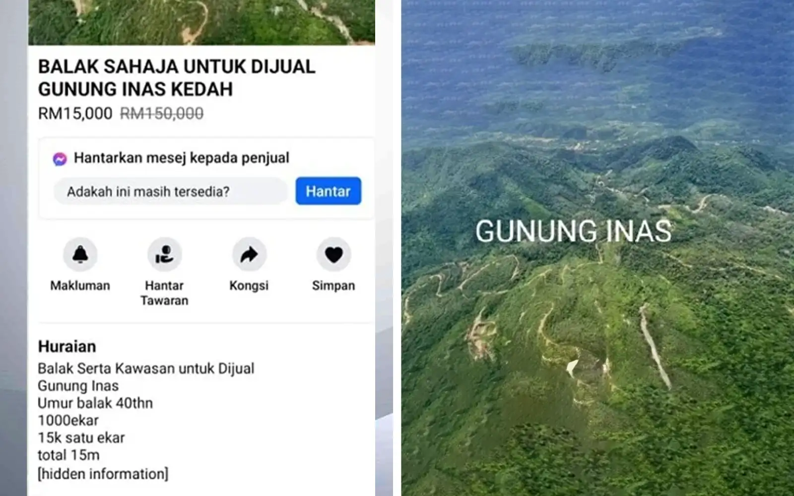 Gunung Inas land and timber not for sale, says Kedah forestry dept | FMT