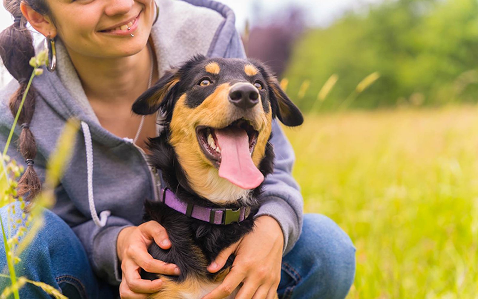 Science confirms positive effects of interacting with dogs | FMT