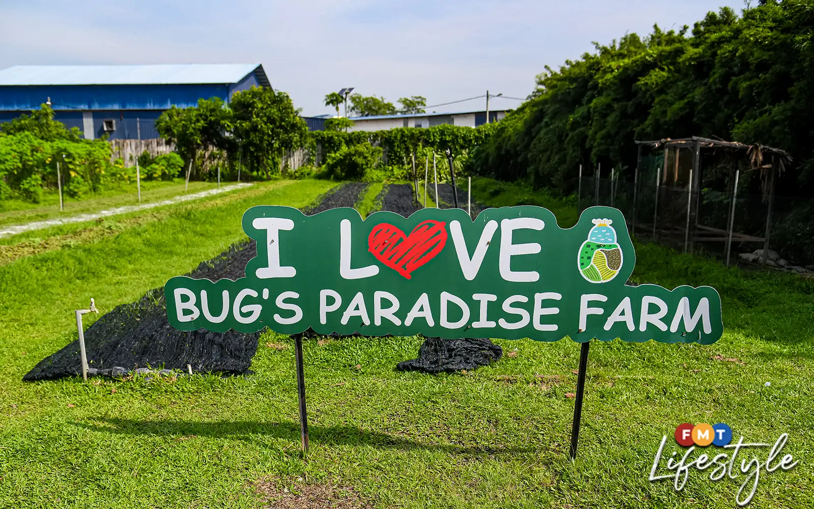 Have a fruitful time at organic farm ‘Bugs Paradise’ | FMT
