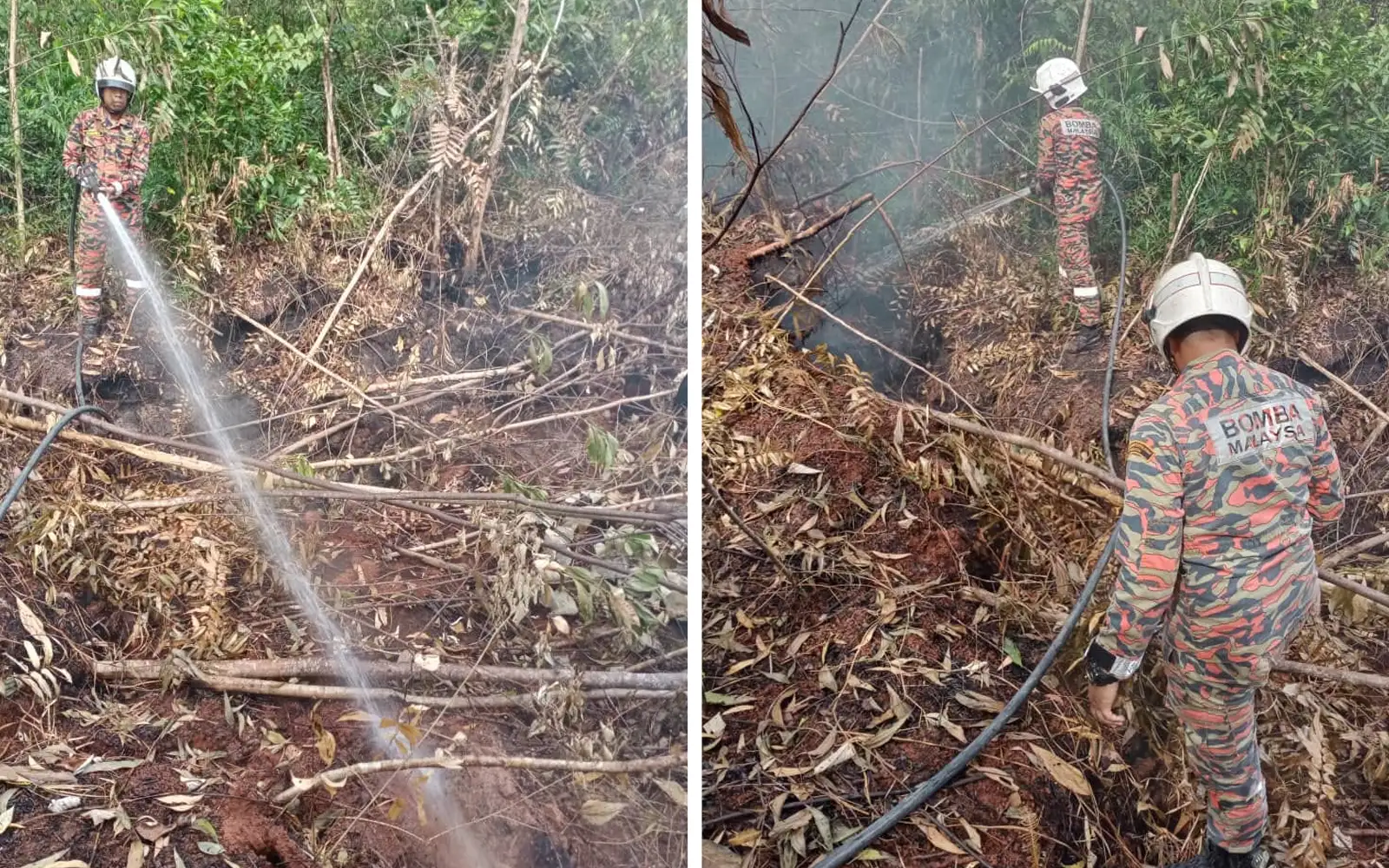 Pahang forest fire eases after 2 weeks | FMT