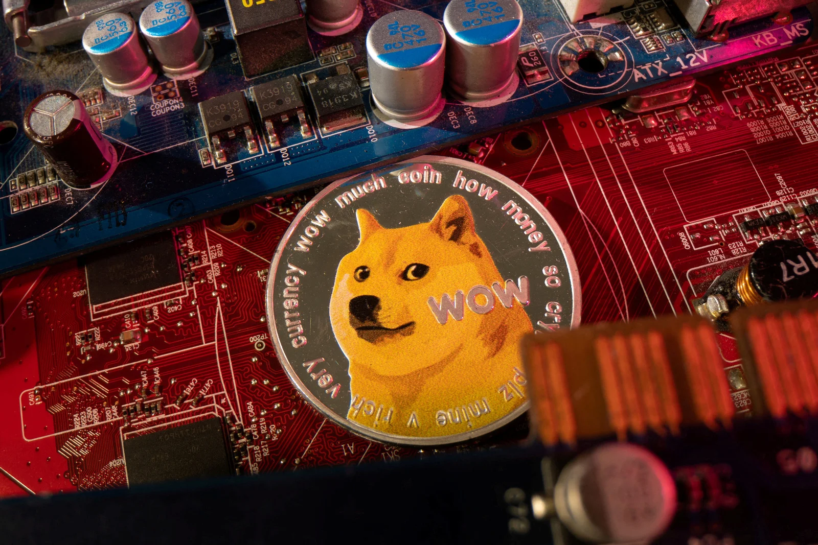 Kabosu, the face of cryptocurrency Dogecoin, dies at 18 | FMT
