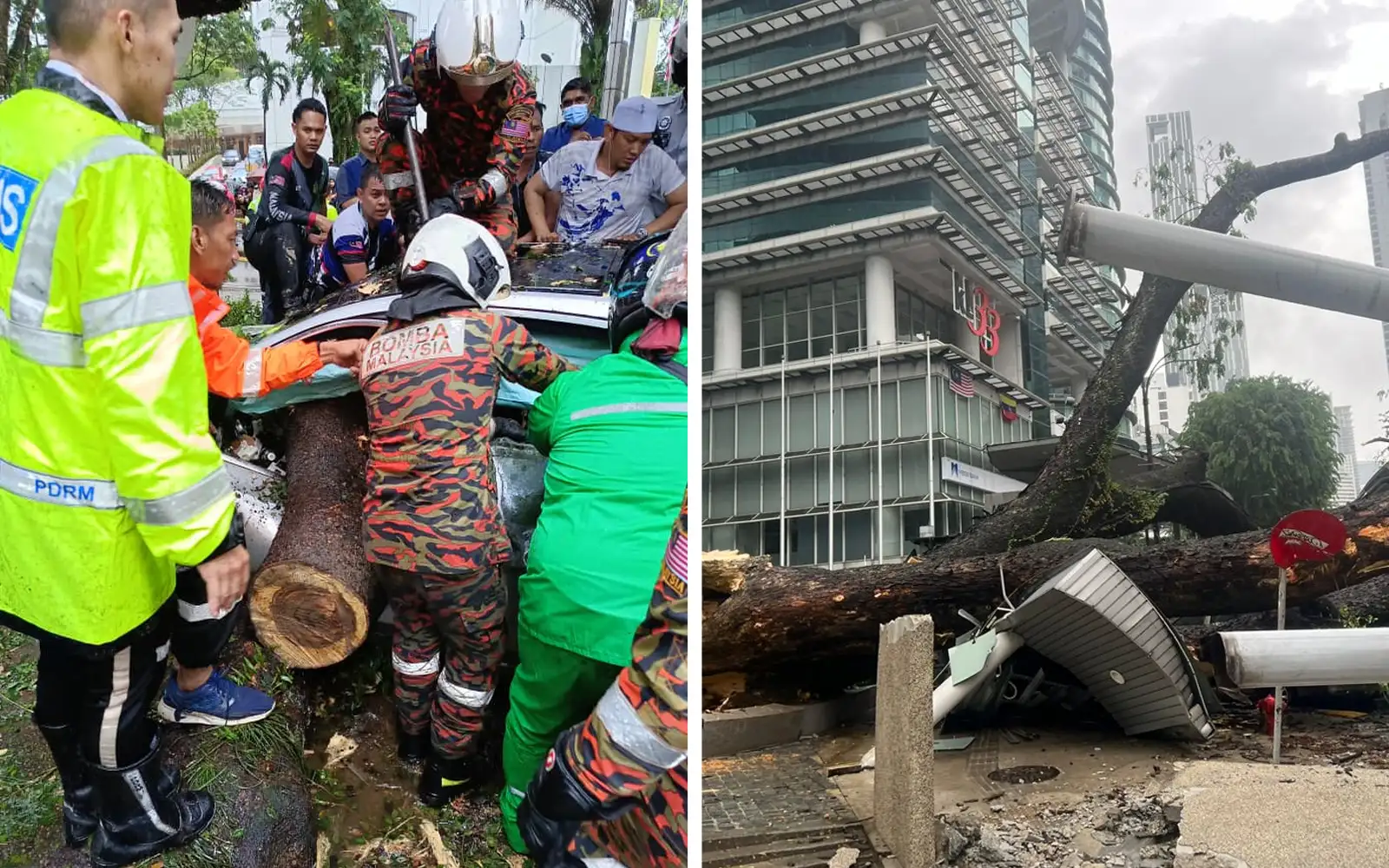1 killed in fallen tree incident in downtown KL | FMT