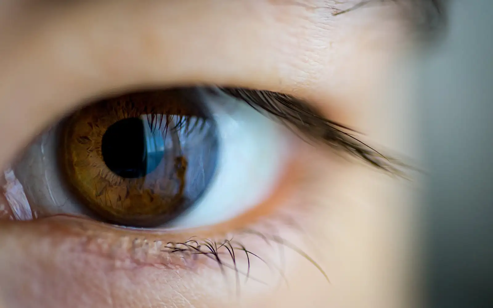 Your pupils could indicate how focused you are | FMT