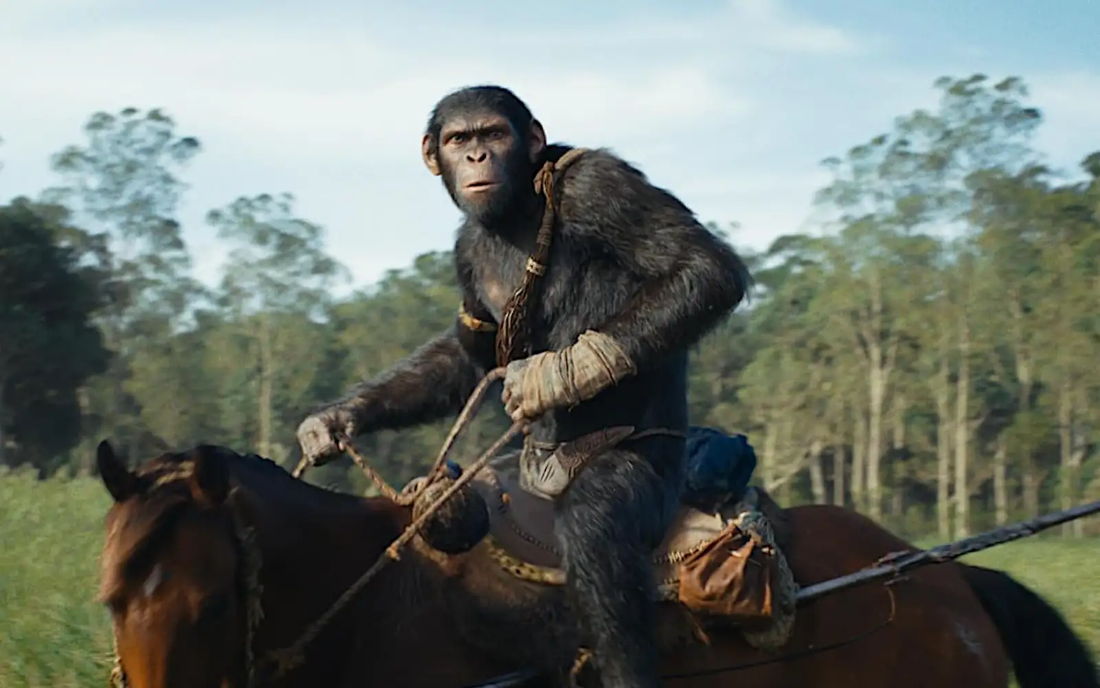 ‘Kingdom’ proves these Apes still have life in them | FMT