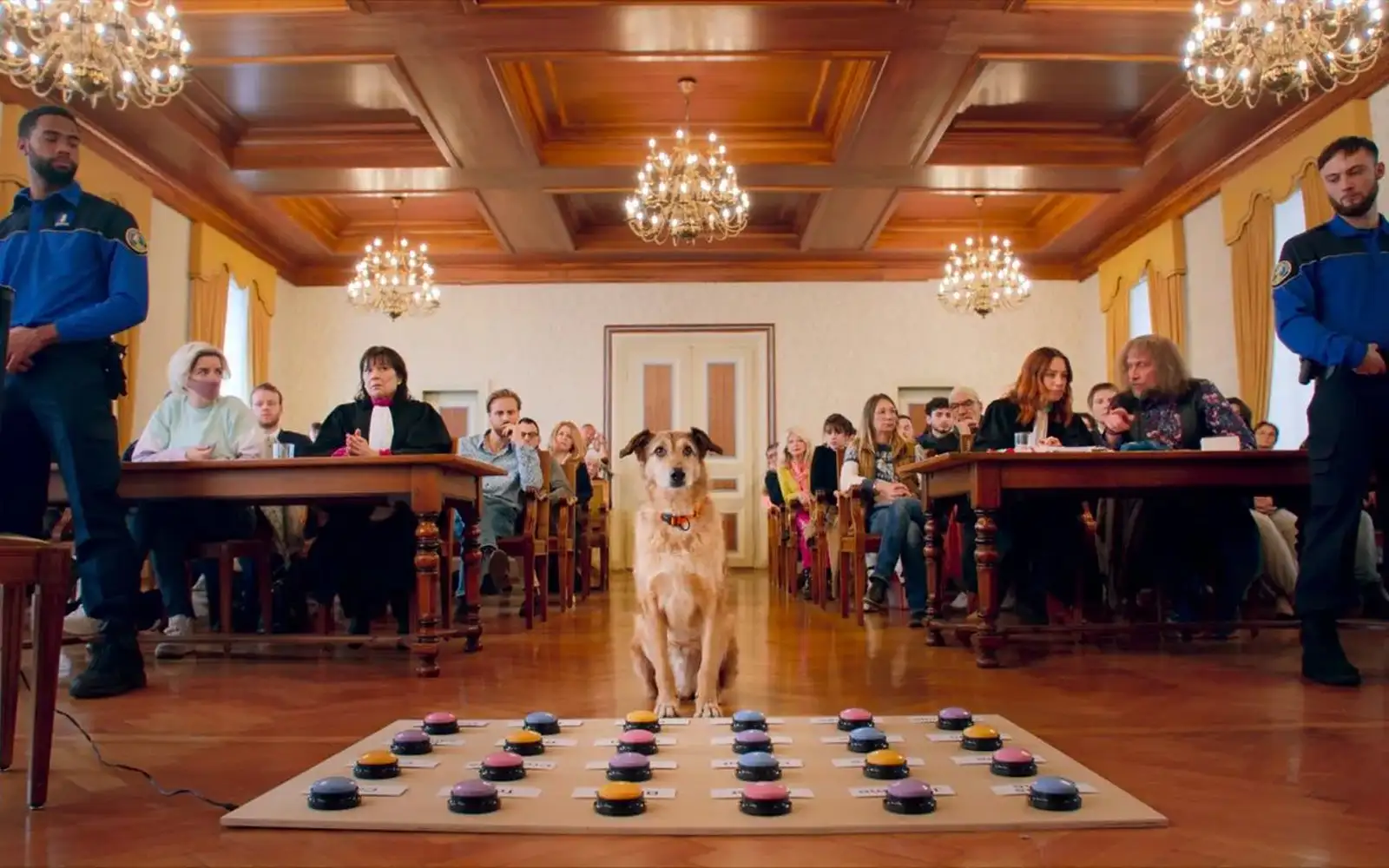 Cannes ‘Palm Dog’ goes to mutt on trial | FMT