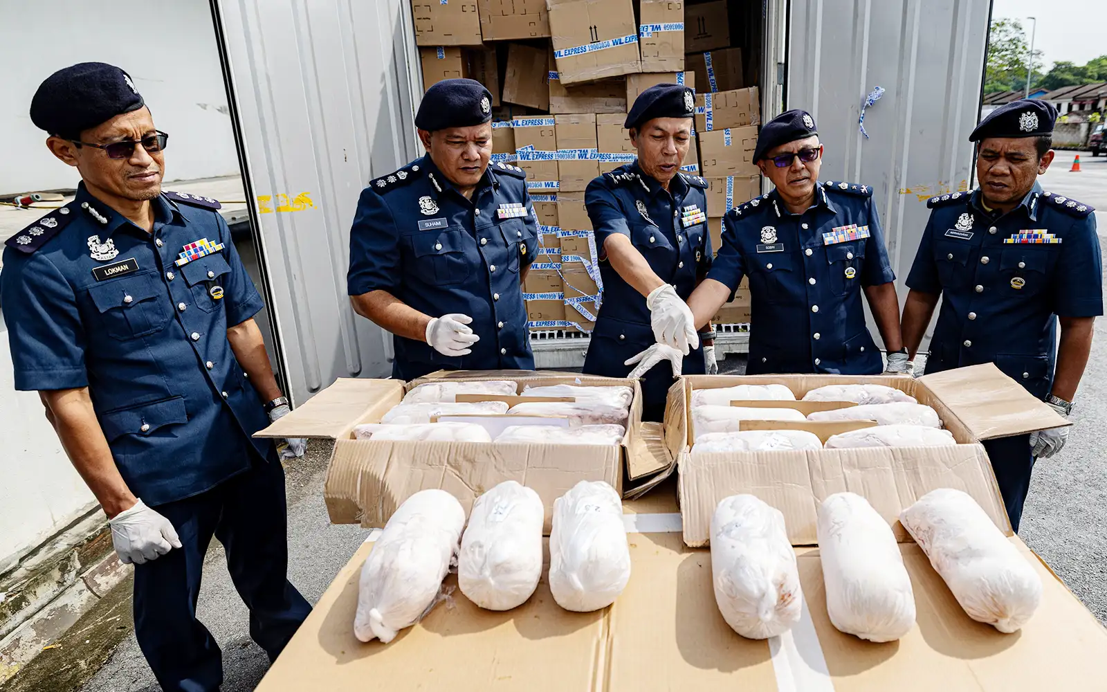 Kastam rampas daging babi diikrar sayur sejuk beku | FMT