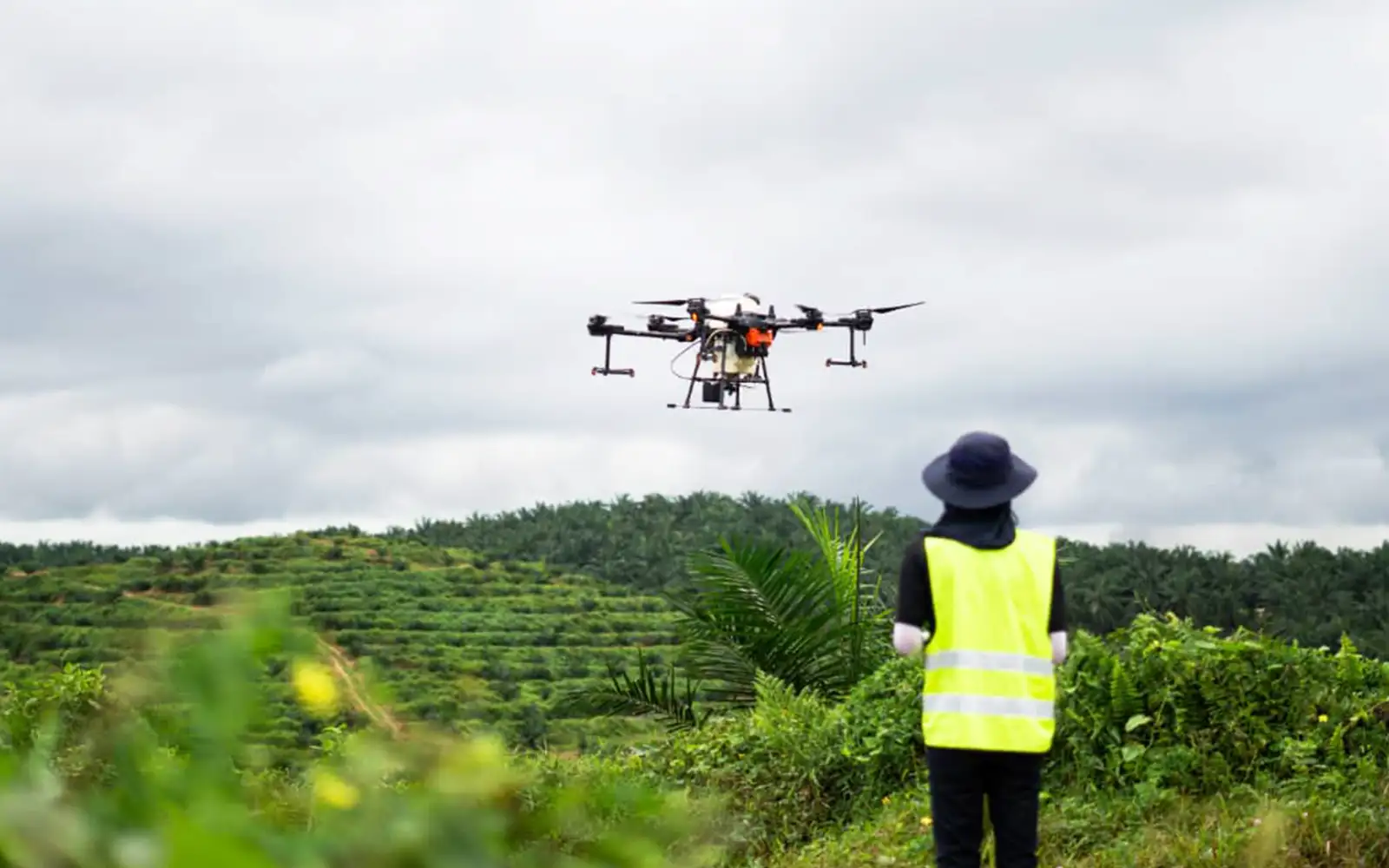 Automation, mechanisation improving productivity, efficiency in oil ...