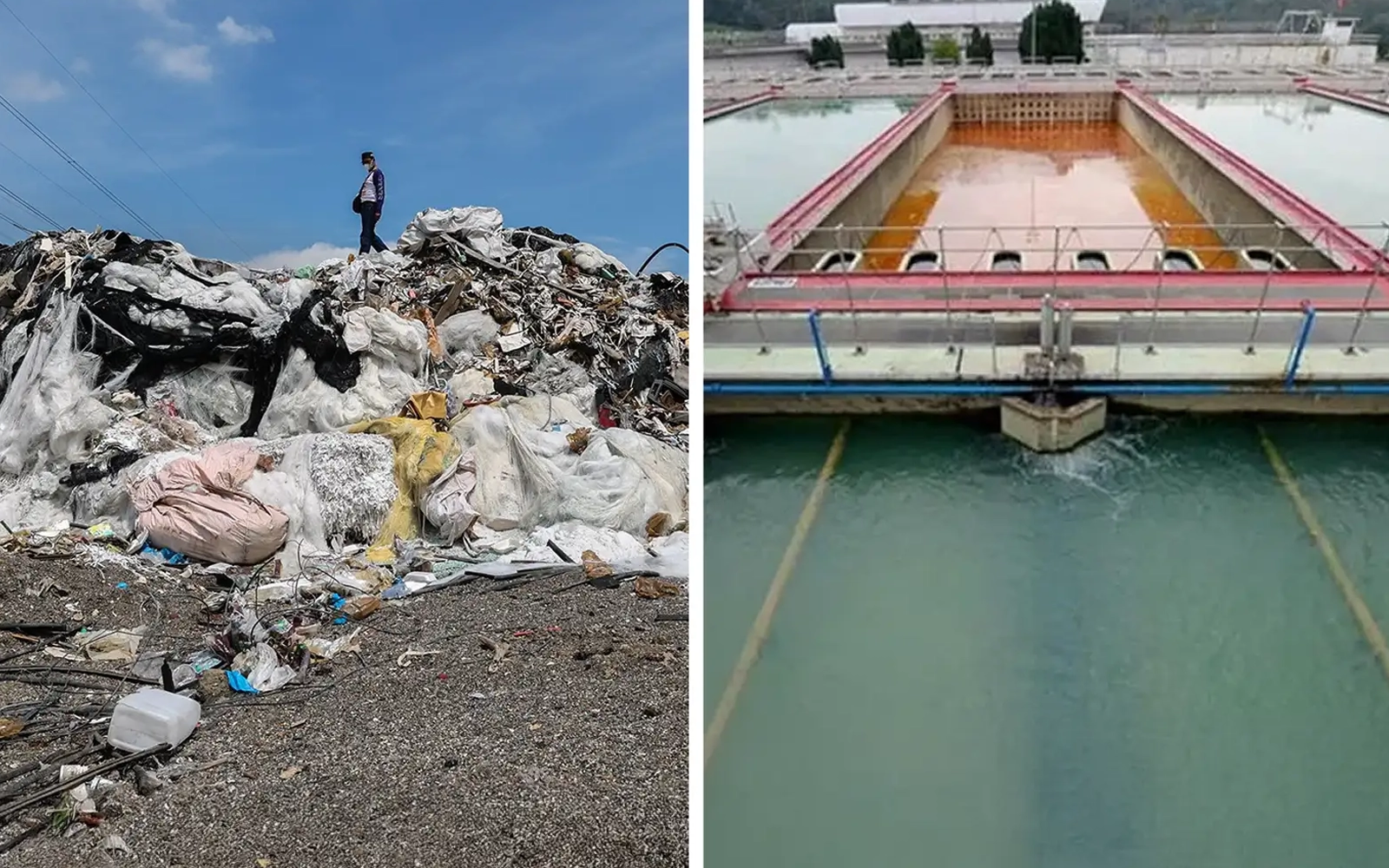 Micro solution to a macro waste problem | FMT