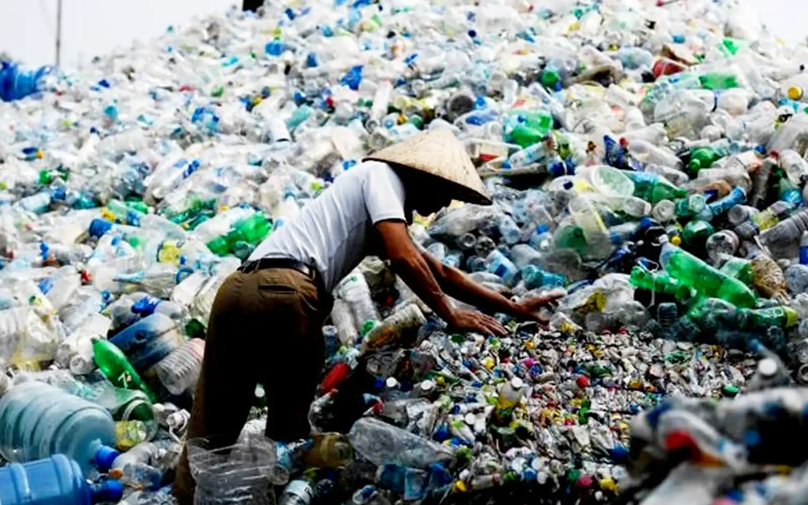 MMA calls for measures after Malaysia tops microplastic consumption ...