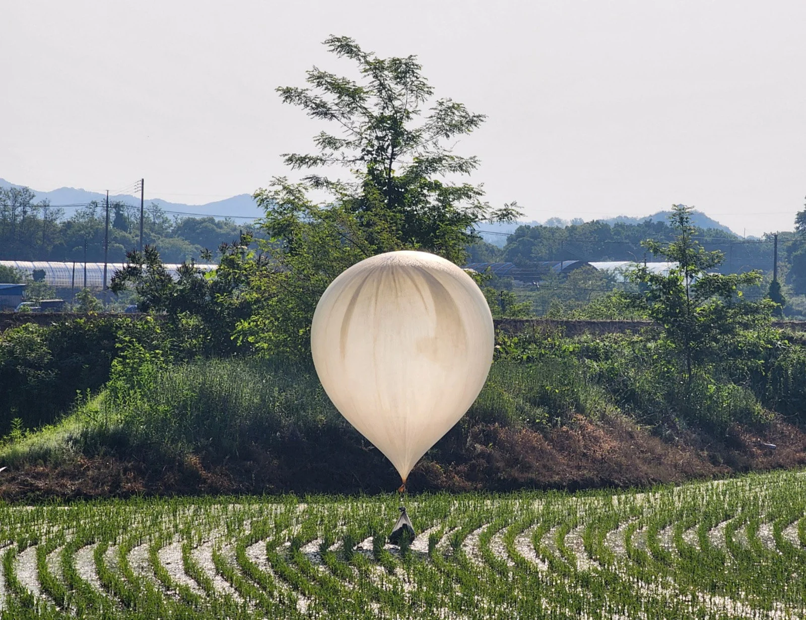 Hello Kitty, parasites: Inside N. Korea’s trash balloons | FMT