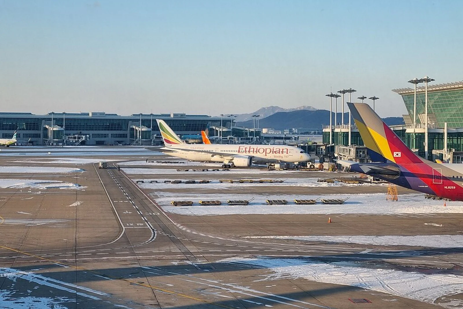 Incheon airport briefly shuts down runways over trash balloons | FMT
