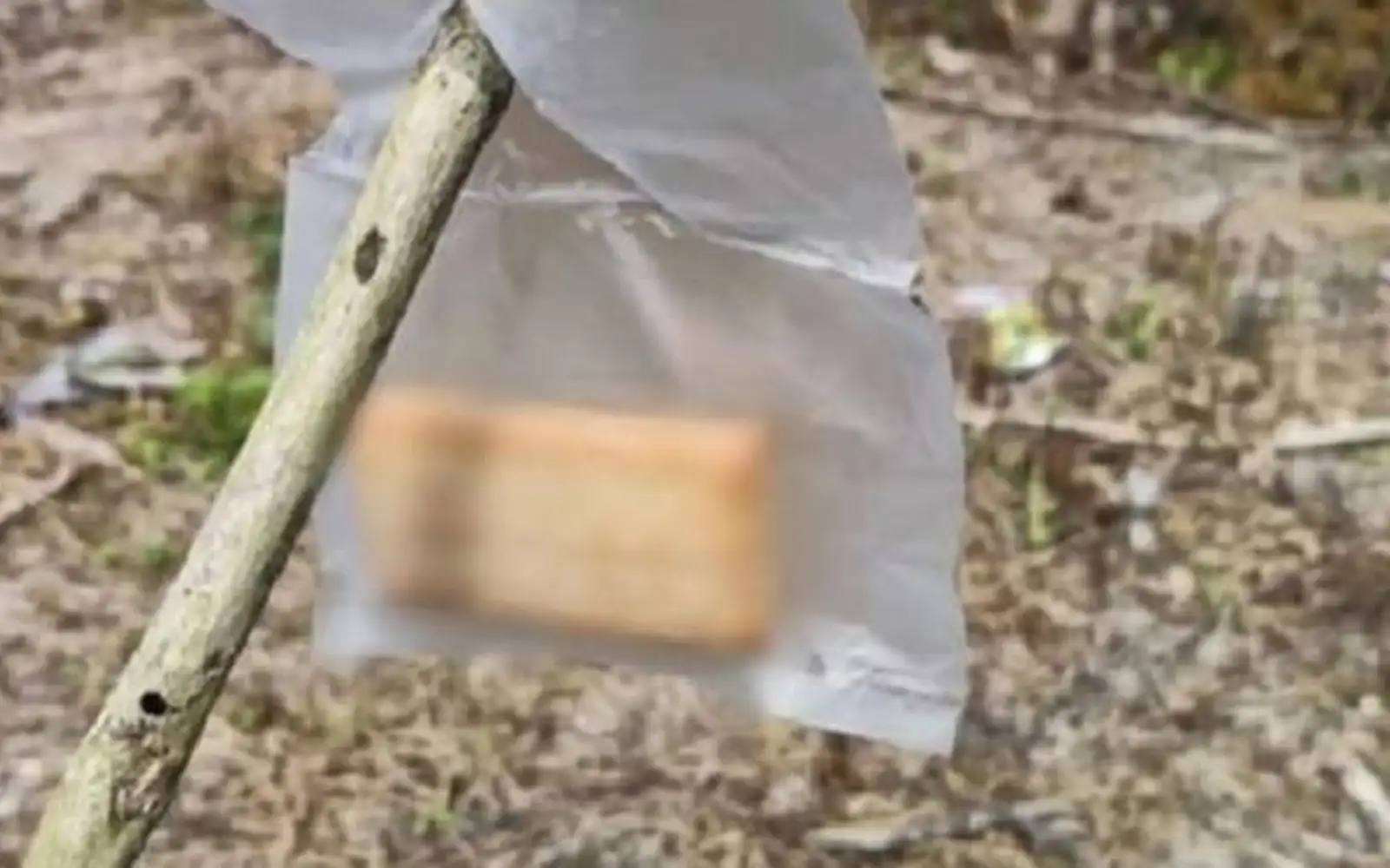 Teenager collapses after eating poisoned snack found on fence | FMT