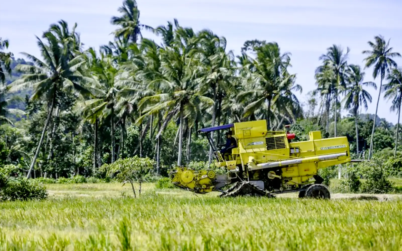 Muktamad segera penyaluran insentif pesawah, gesa NGO | Hot FM