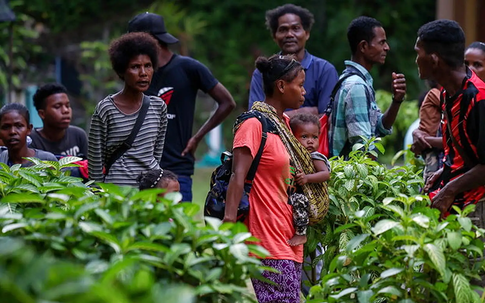 Speak to Orang Asli in Bidor yourself, Perak MB urged | FMT