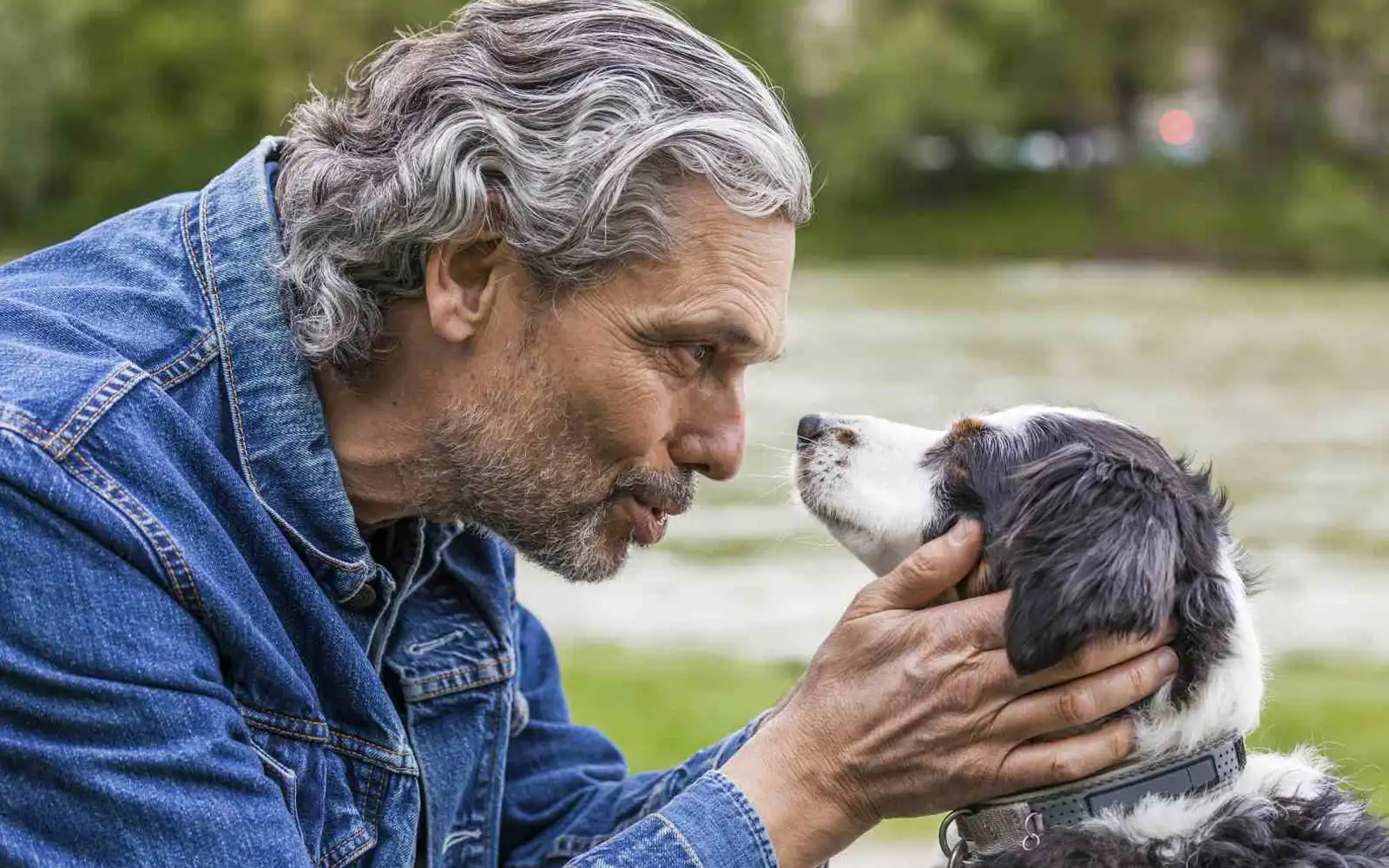 Want to create a deep bond with your dog? Gaze into its eyes | FMT