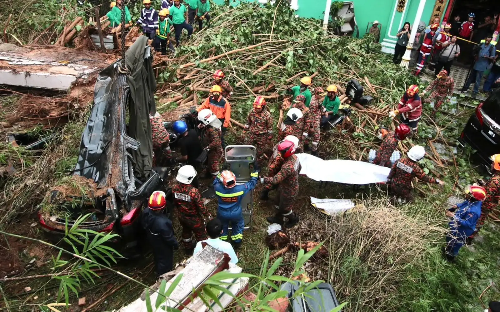 Family of tourists killed by falling tree can consider legal action ...