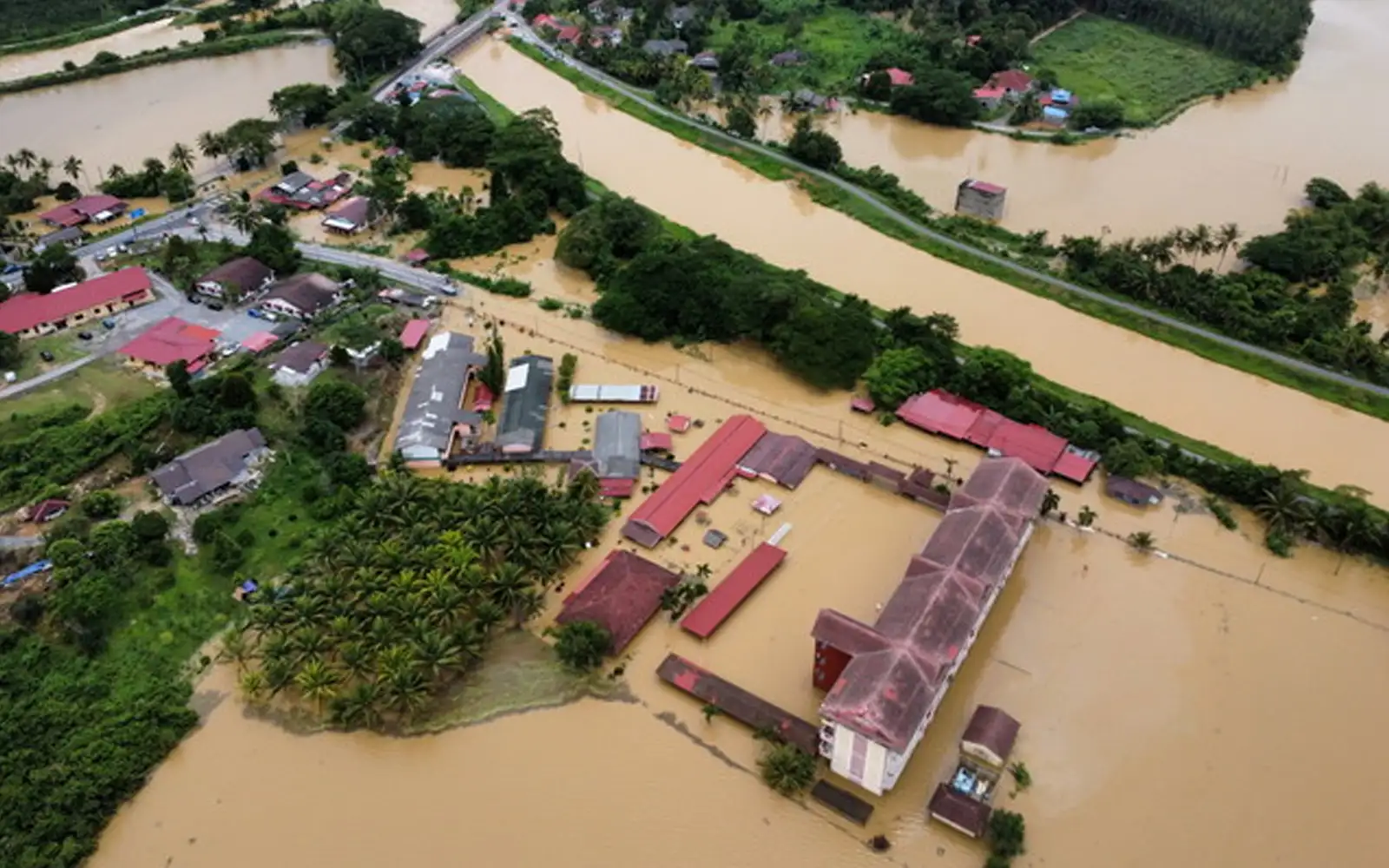 Kedah, Perlis padi farmers suffer RM50mil loss in floods | FMT