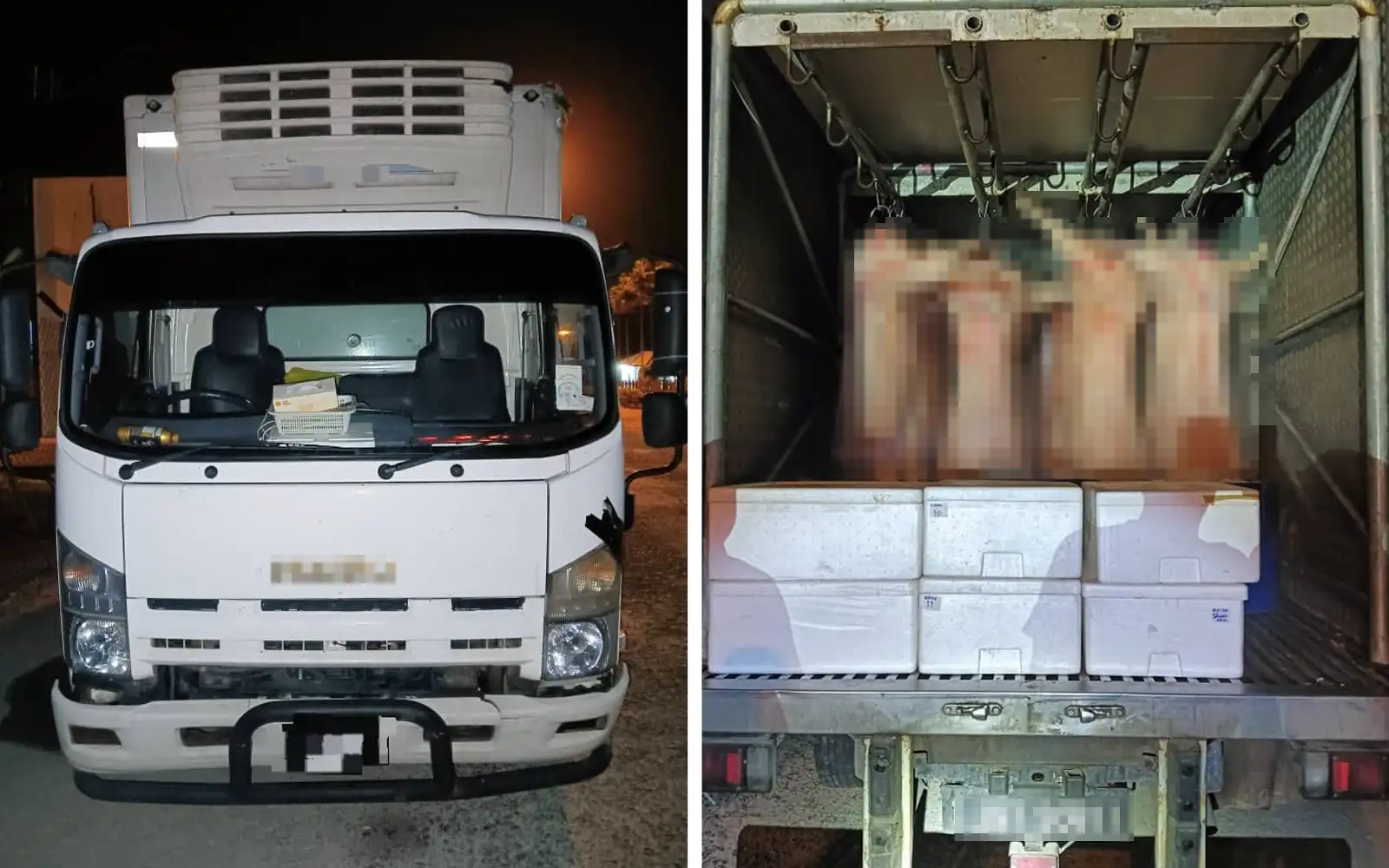 10,000kg of pig carcasses worth RM400,000 seized | FMT