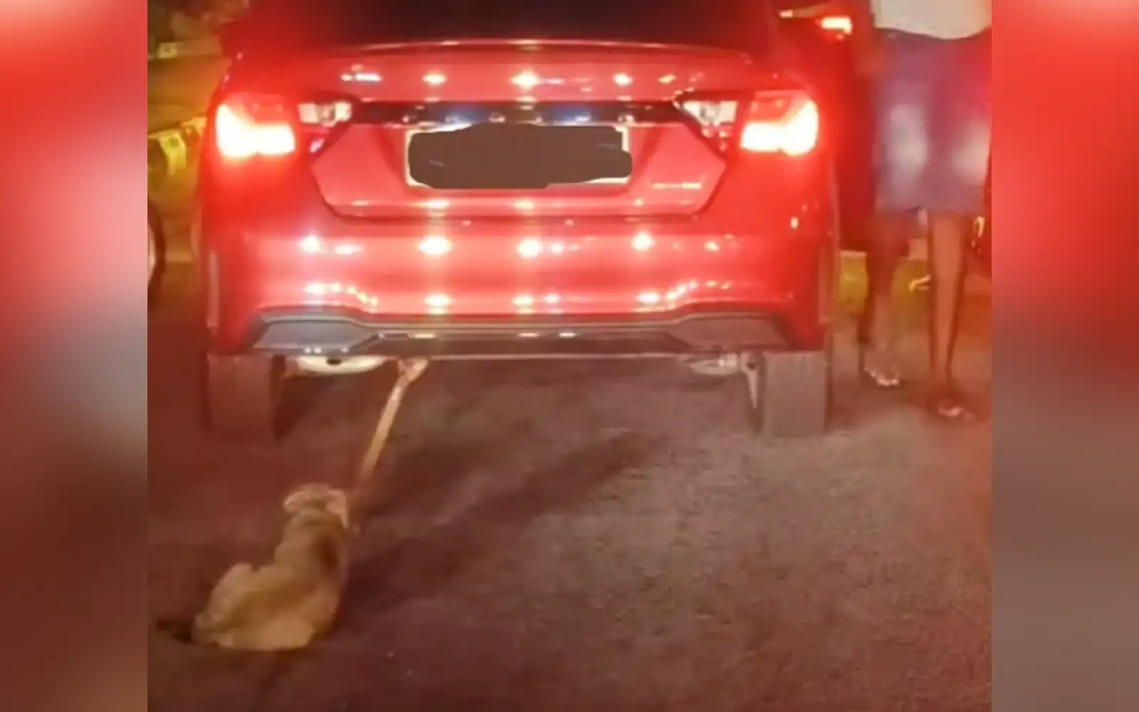 Man says sorry after accidentally dragging dog along road | FMT