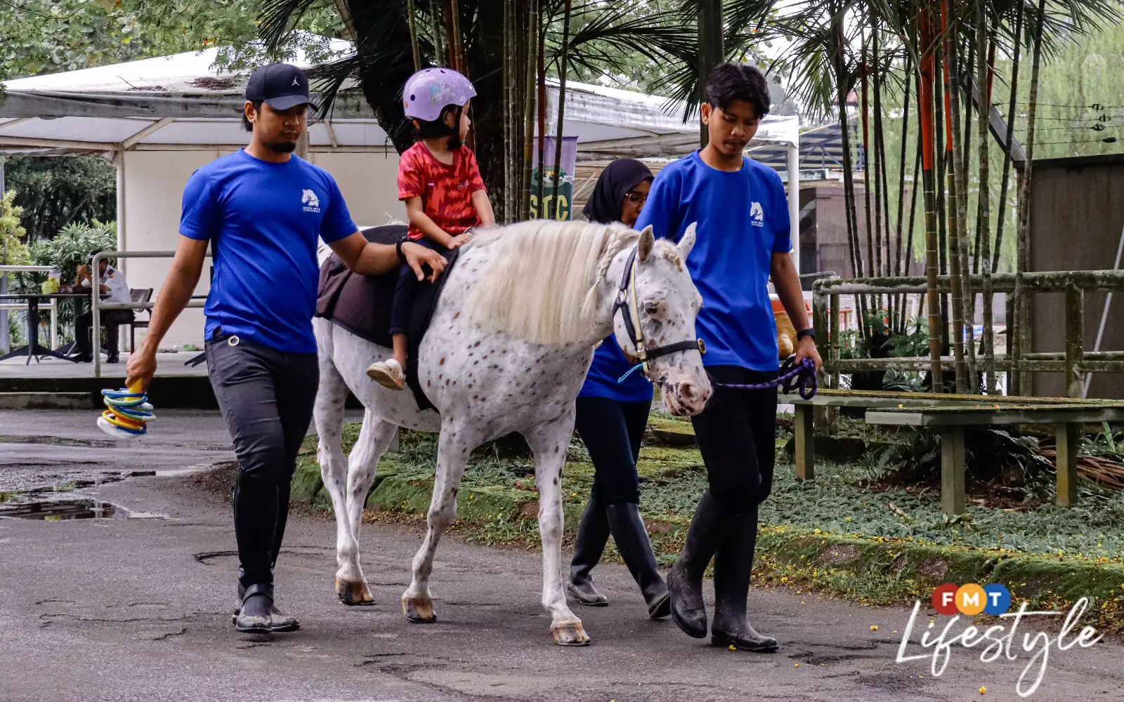 Harnessing horses to help special-needs children | FMT