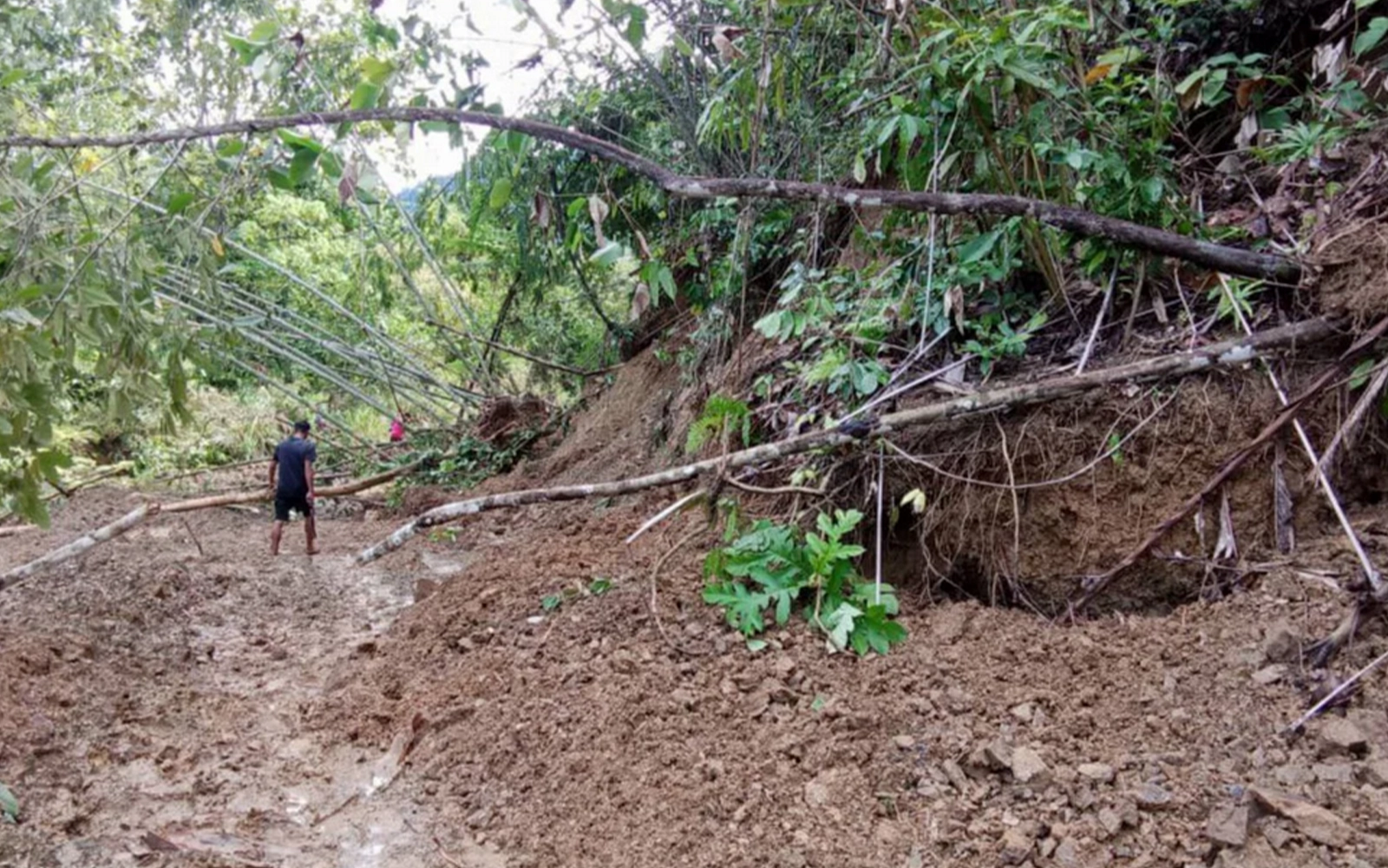 Tanah runtuh, lebih 1,000 Orang Asli Gua Musang putus hubungan | FMT