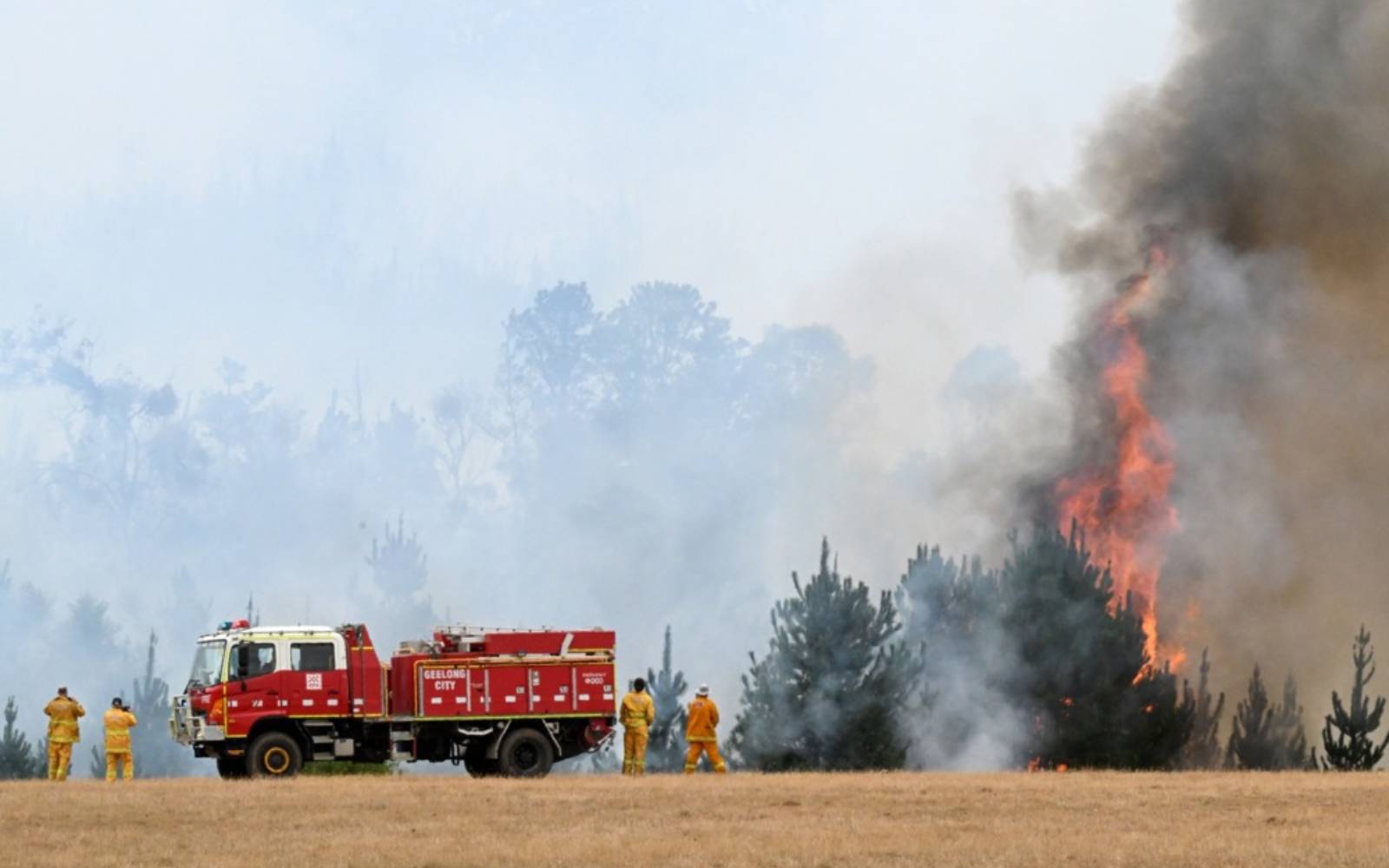 Raging bushfires in Australia destroy home and livestock | FMT