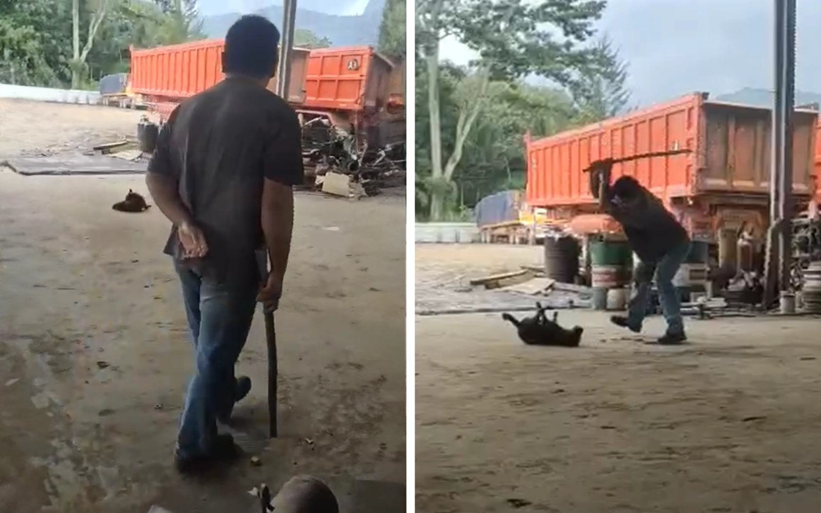 Animal rights group appeals for info on video of man beating dog | FMT