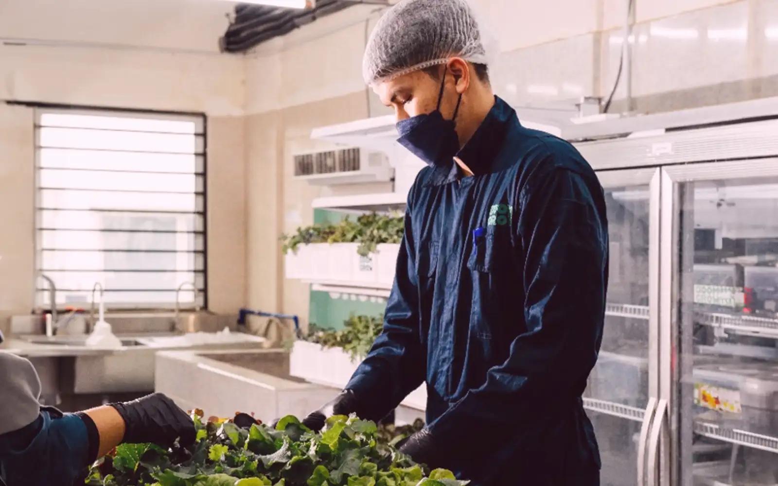 BoomGrow, the smart farm offering fresh ‘hyperlocal’ produce | FMT