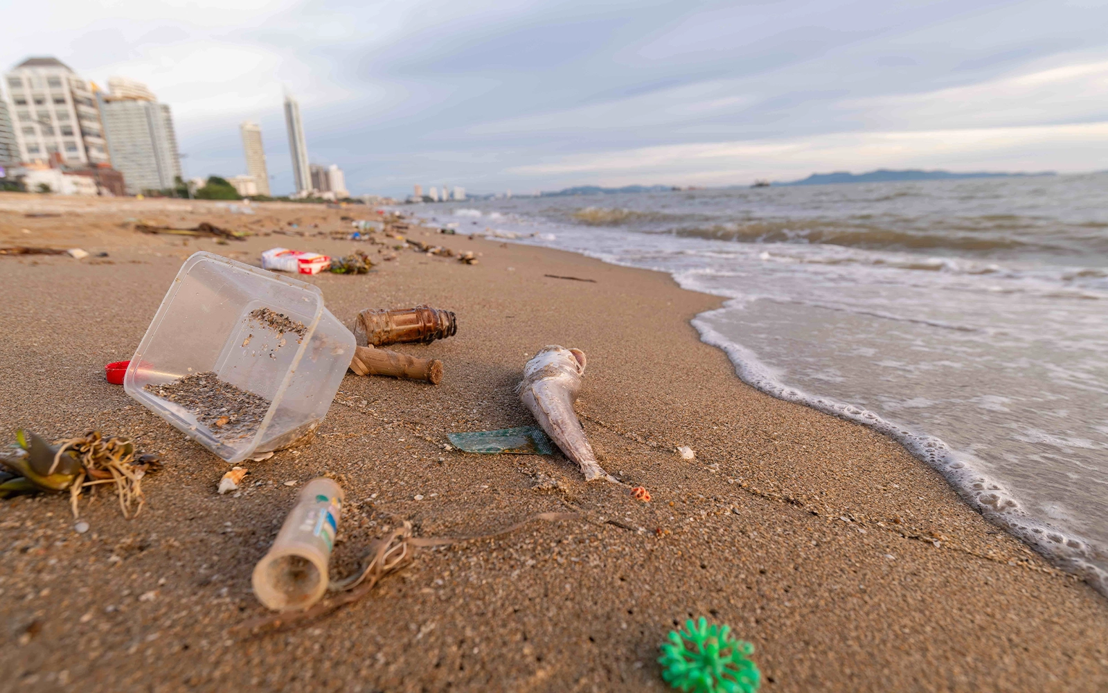 Plastic pollution on beaches can now be spotted from space | FMT