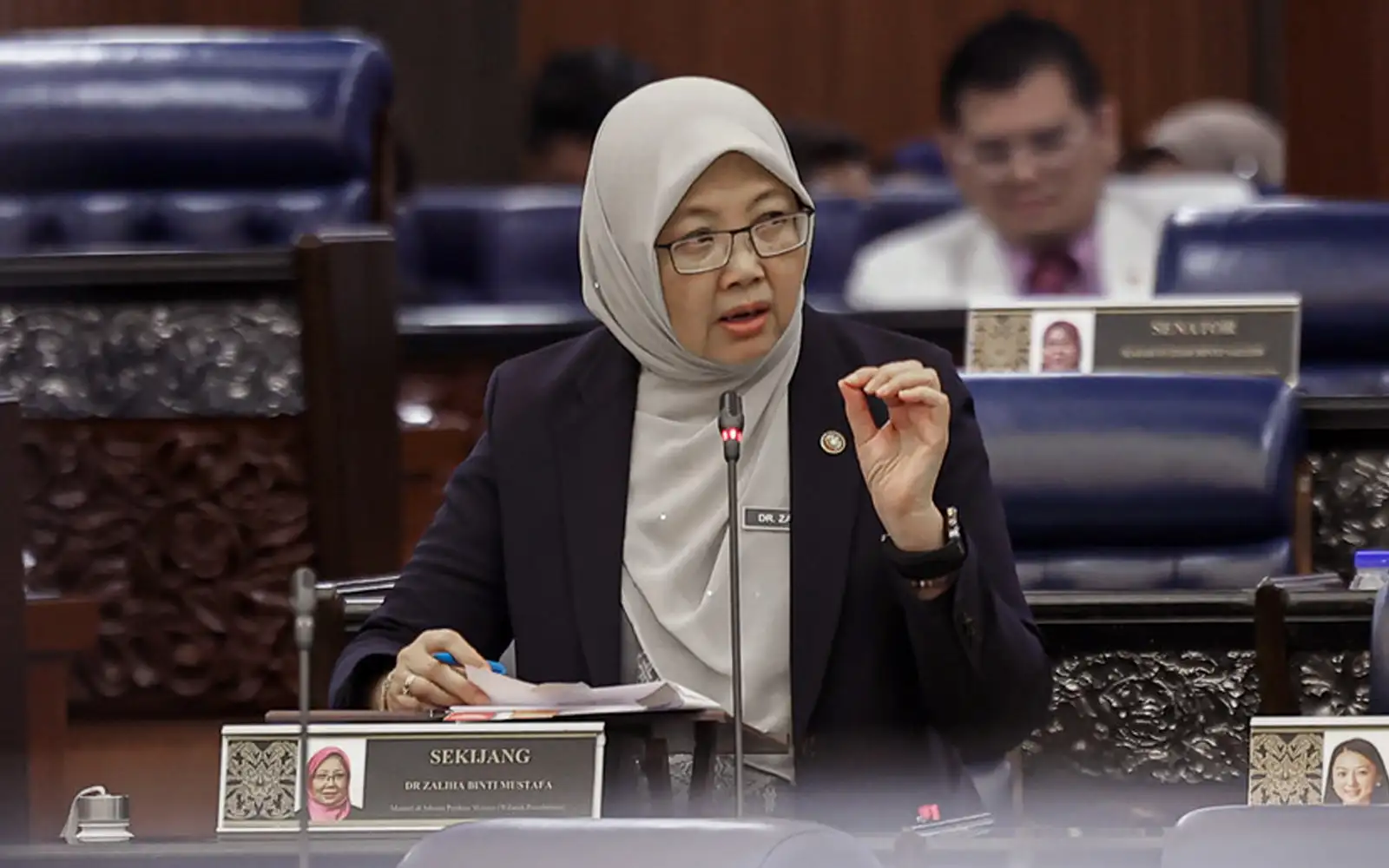 Govt still open to development around flood retention ponds | FMT