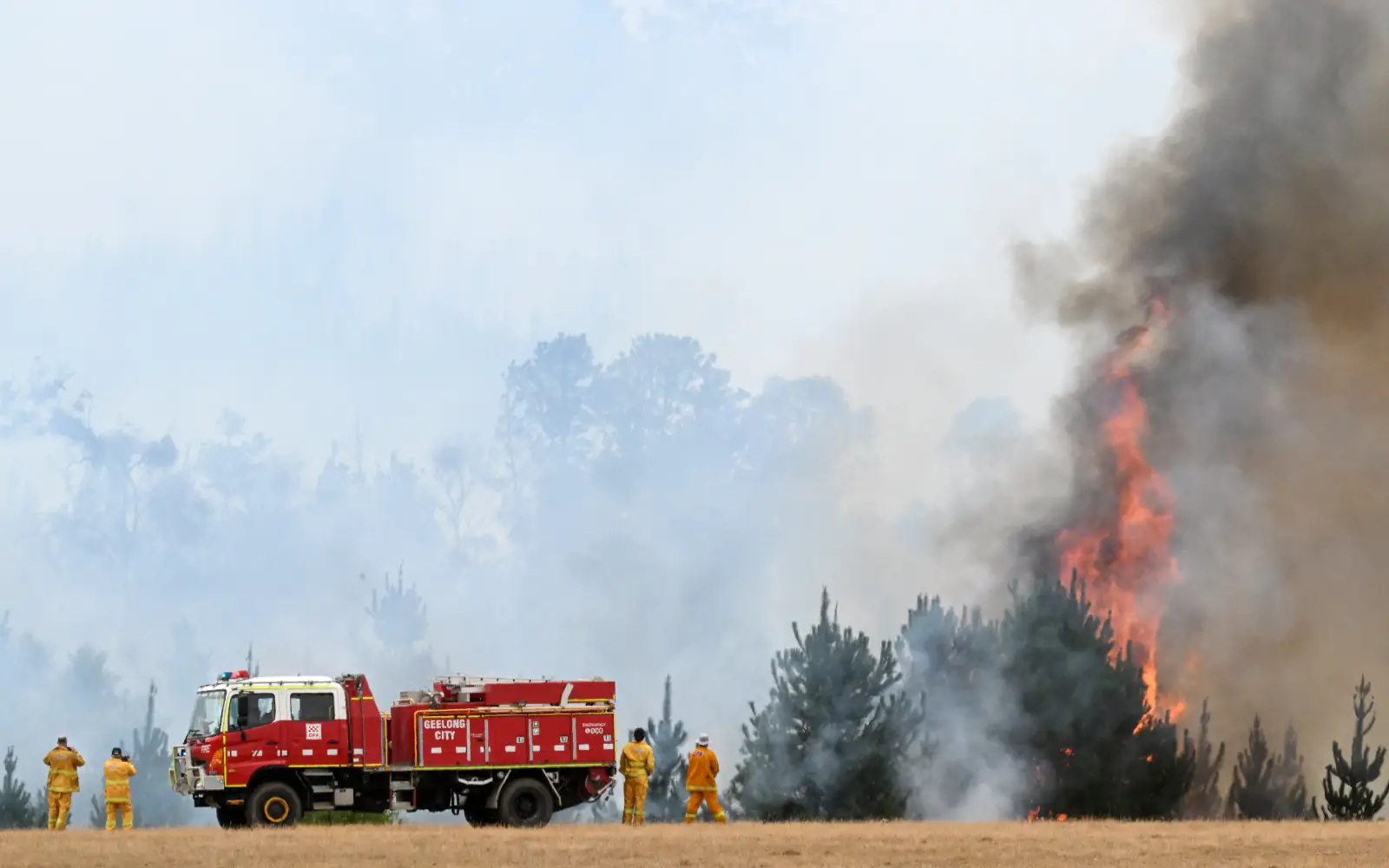 Australian authorities urge hundreds to flee out-of-control bushfires | FMT