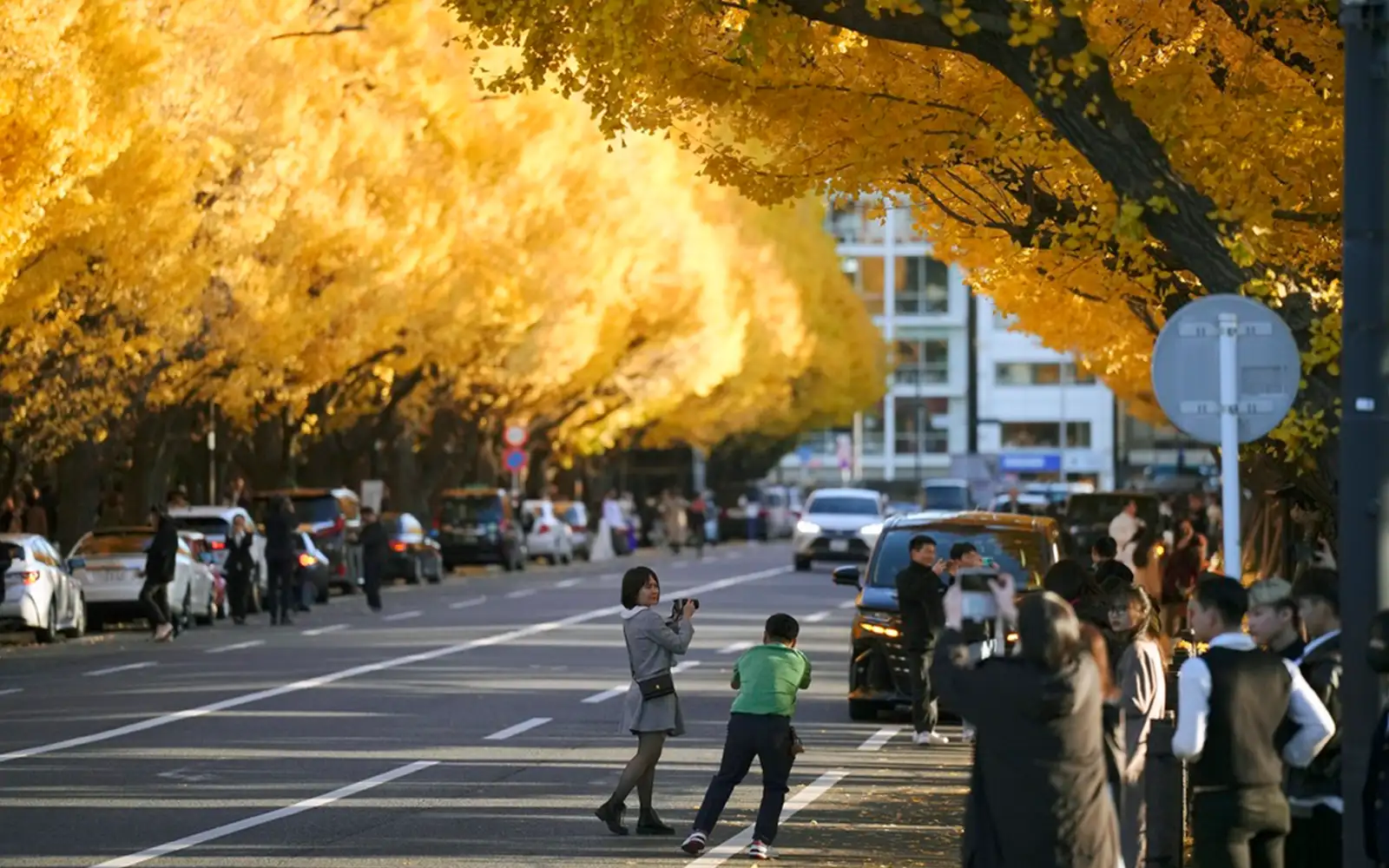 Jepun catat musim luruh terpanas dalam 126 tahun | FMT