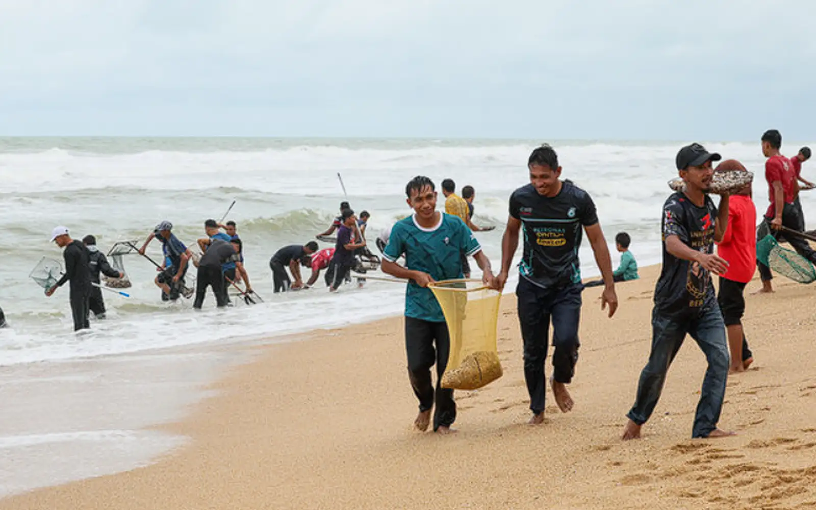 Kerang terdampar selamat dimakan, bukan petanda bencana | FMT