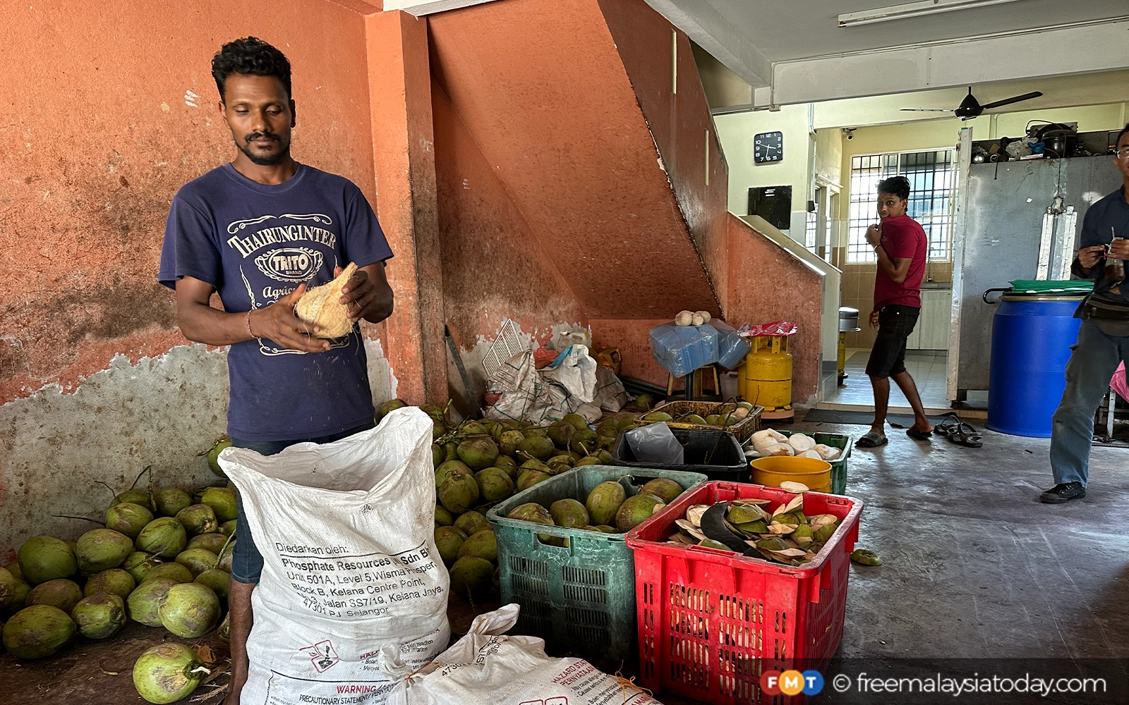 Supplier warns of acute shortage of coconuts ahead of Thaipusam | FMT