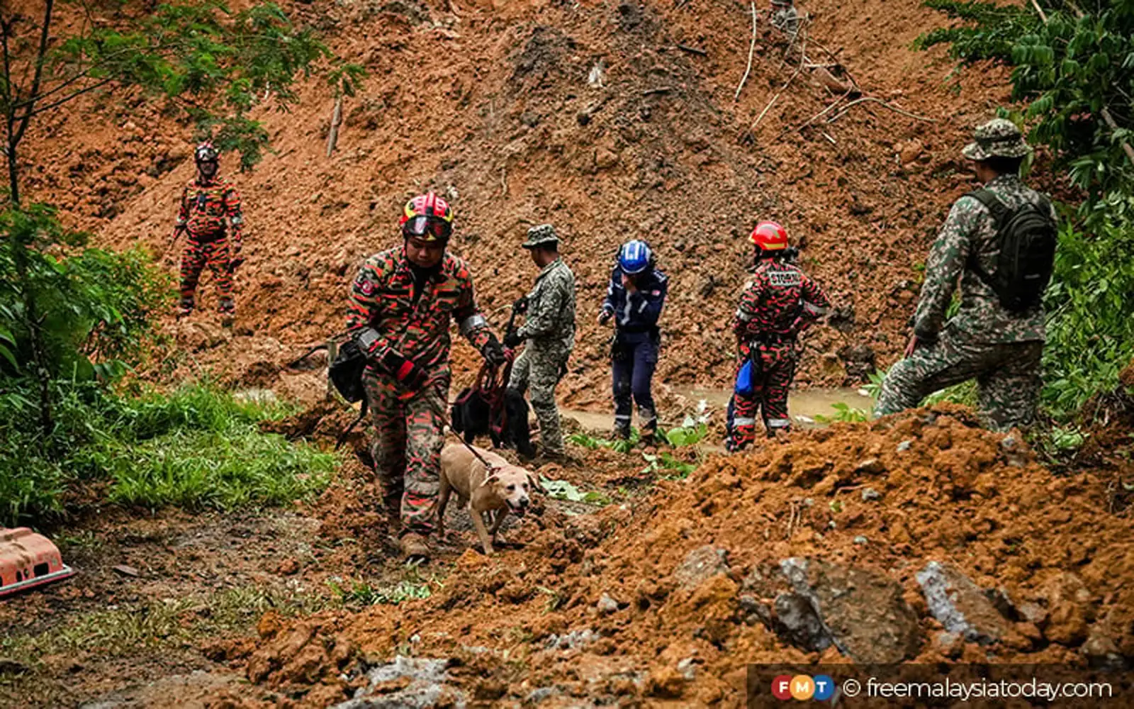 Dengarlah suara wira kita | FMT