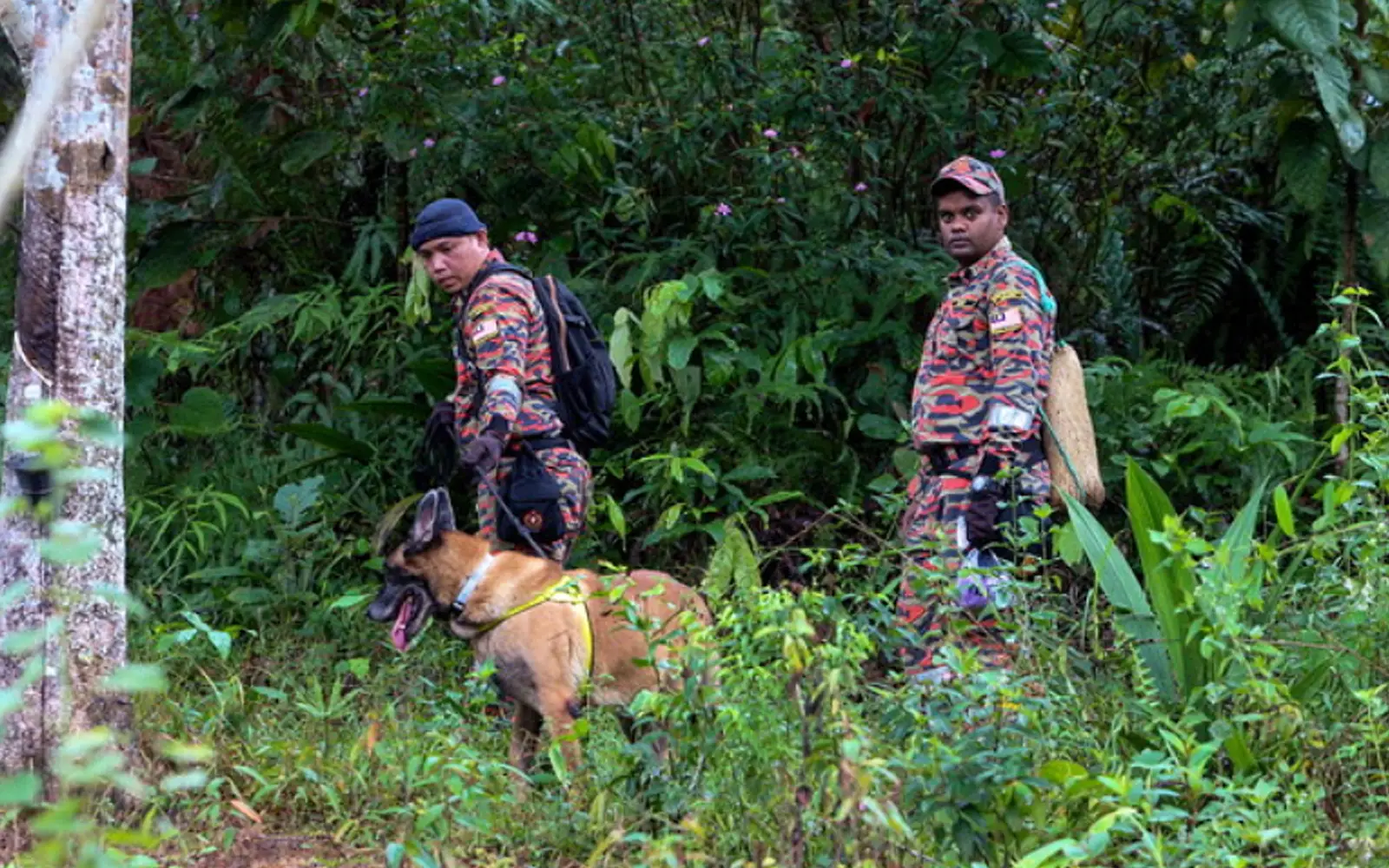 Hud Aryan mungkin terjatuh lalu dibawa arus sungai, kata polis | FMT