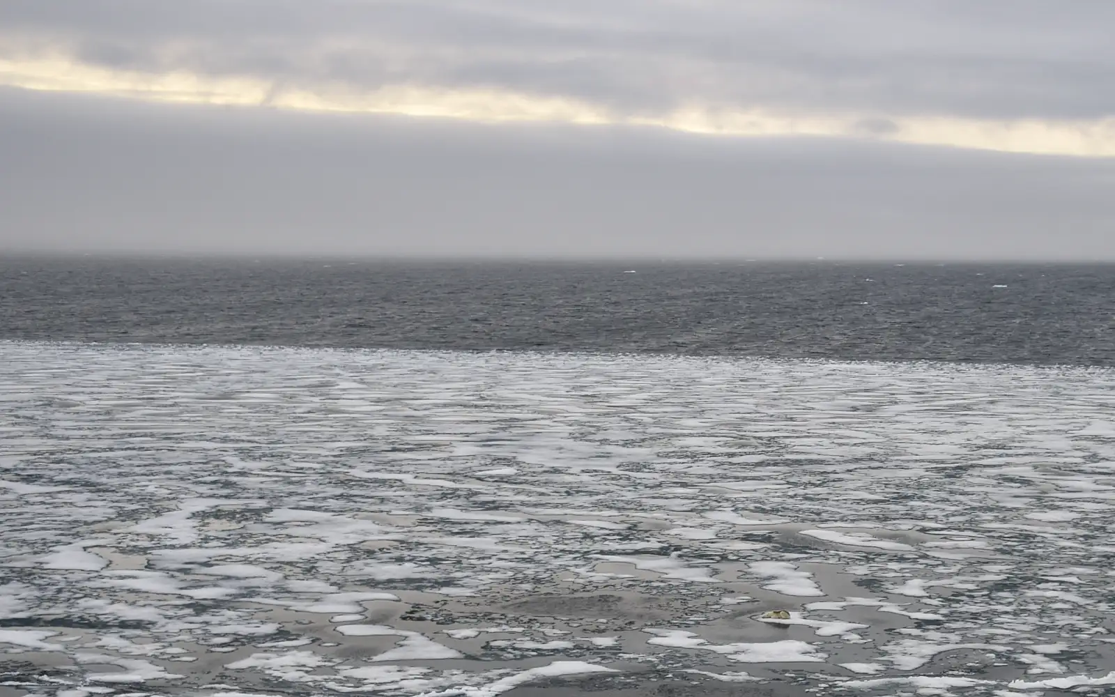 Russia rescues 139 fishermen stranded on ice floe | FMT