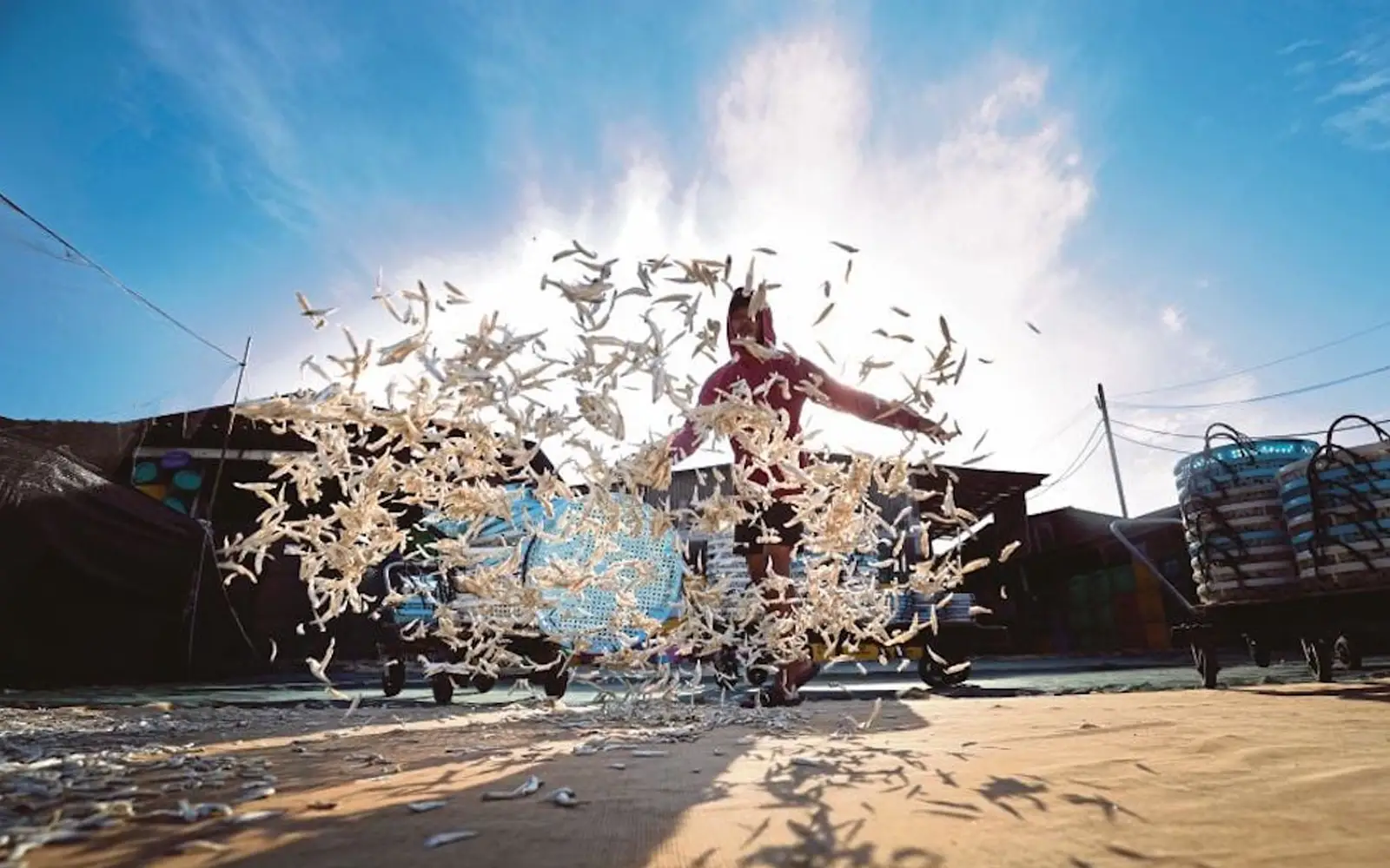 Fishing for Pangkor’s blue-eyed treasure | FMT