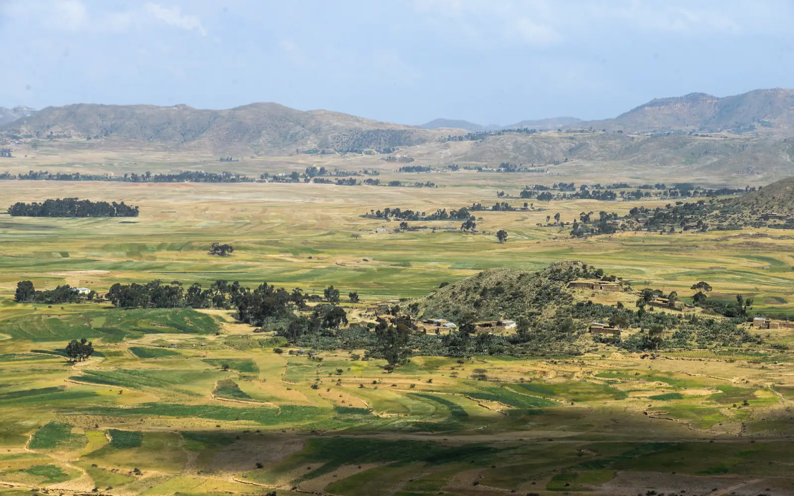 Ethiopia’s army says it killed more than 300 Fano militiamen in two ...