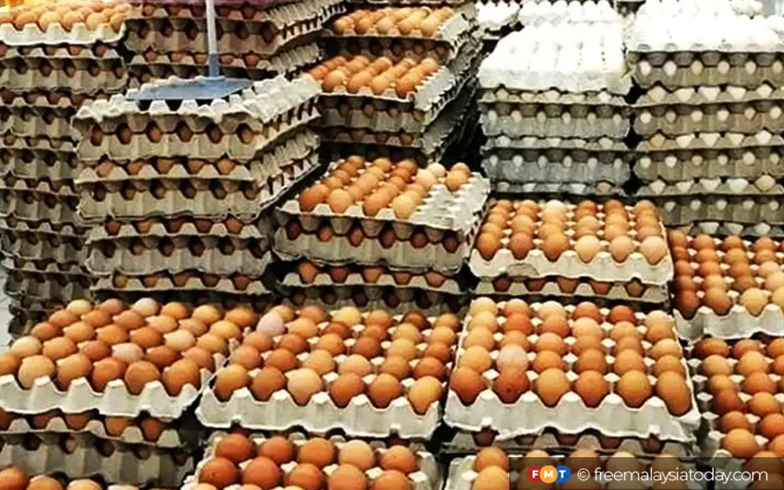 Egg supply not affected by US shortage, smuggling reports, says Mat Sabu | FMT